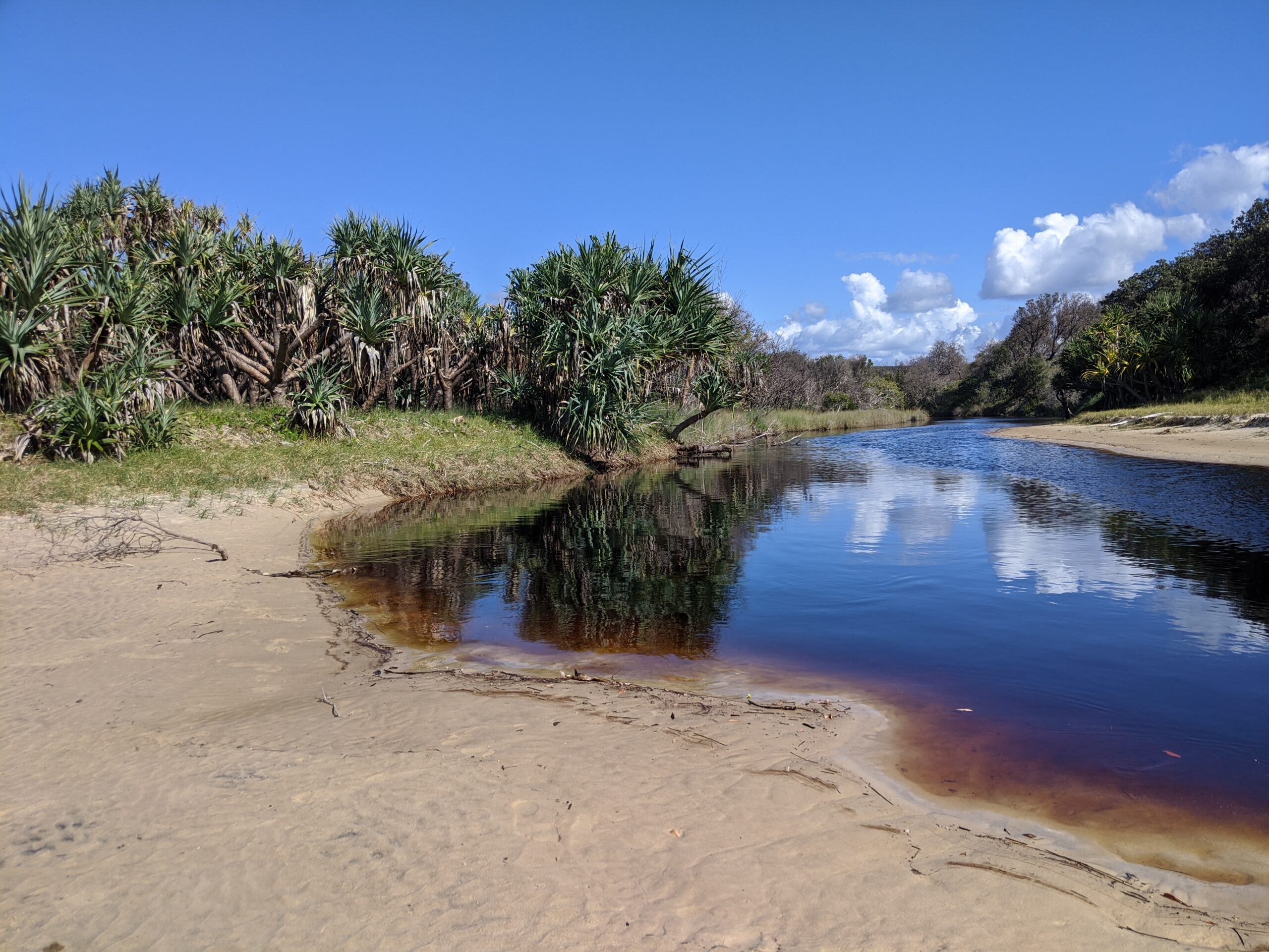 Beautiful Yuraygir National Park - Yamba Views